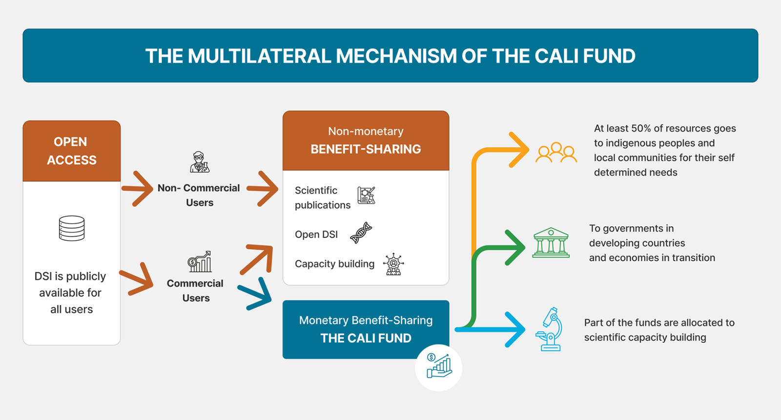 About The Cali Fund - The Cali Fund